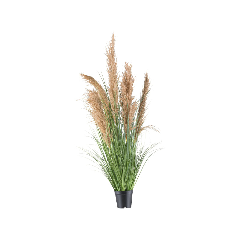 Pianta Giunco 110cm: Elegante Arredo per Interni ed Esterni ...